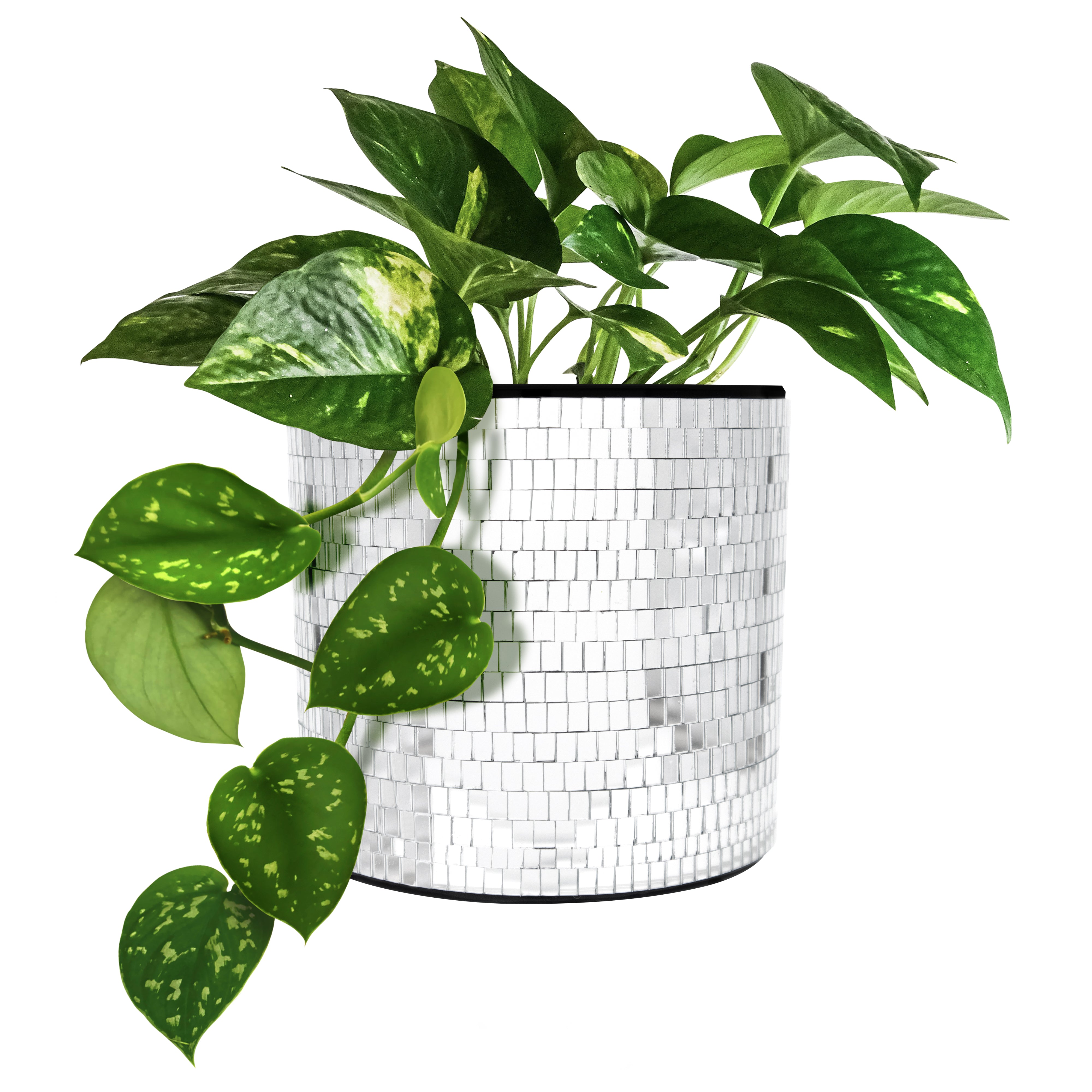 Disco Tabletop Planter – NPW Group