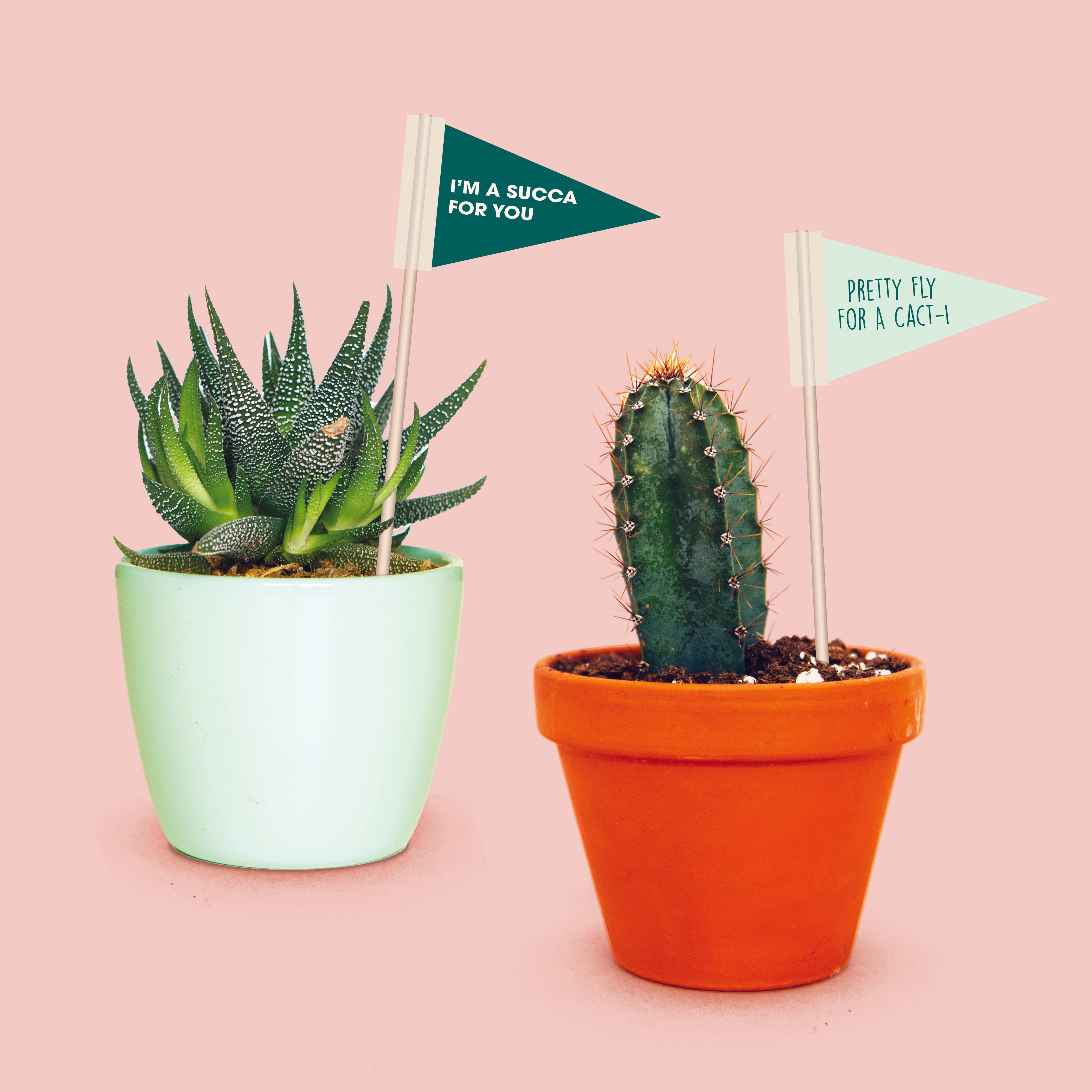 Plant Flags – NPW Group